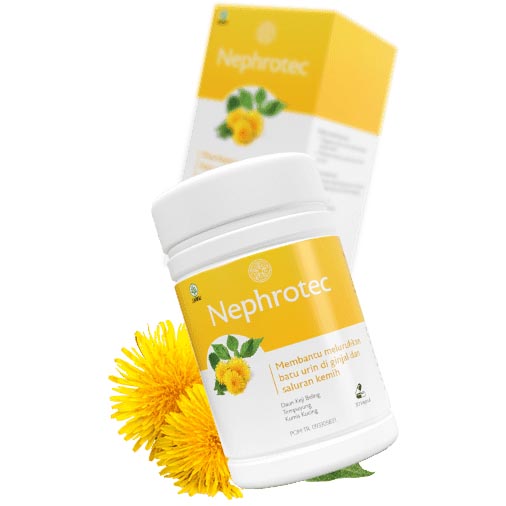[PERINGATAN] Nephrotec produk bagus? Harganya berapa? Di mana membeli ...