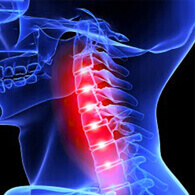 Pantoflex ครีมบำรุงรักษาข้อต่อ